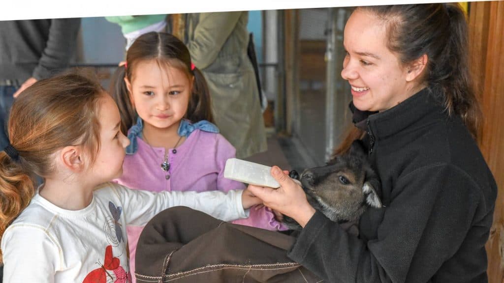Variety Children's Zoo is now open at Adelaide Zoo
