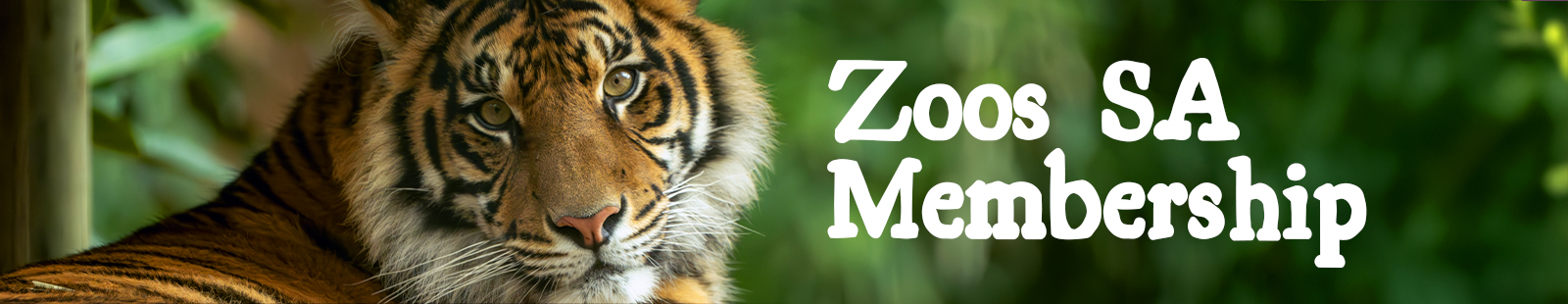 Zoos SA Memberships - Unlimited Entry to Zoos SA