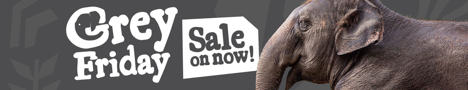 Grey Friday Deals 2024 - Zoos SA - Gifts and Discounts