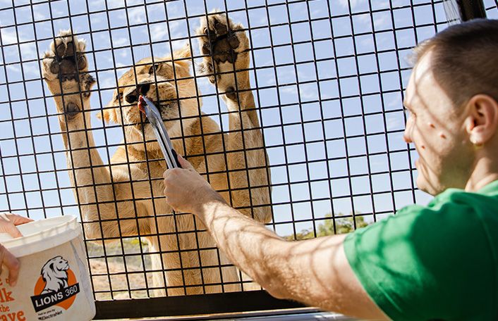 Discounts on Animal Experiences - Zoos SA